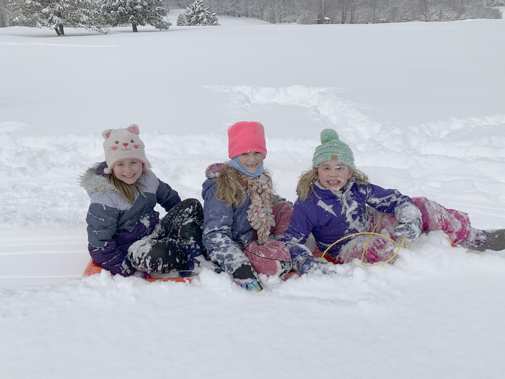 Cassadaga Winter Festival a success | News, Sports, Jobs - Observer Today